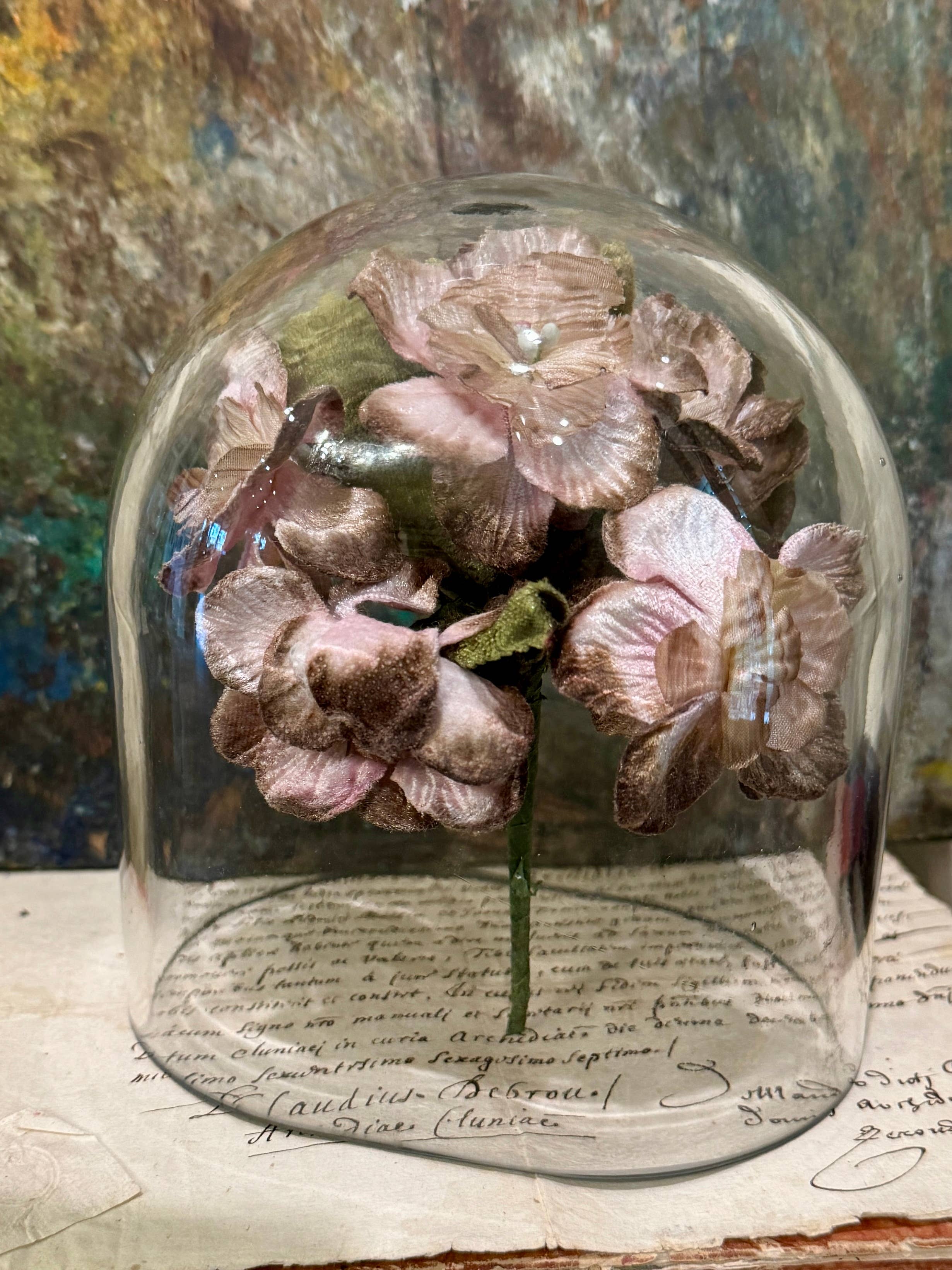 Oval glass Dome Cloche – Arkansas Museum of Fine Arts Store