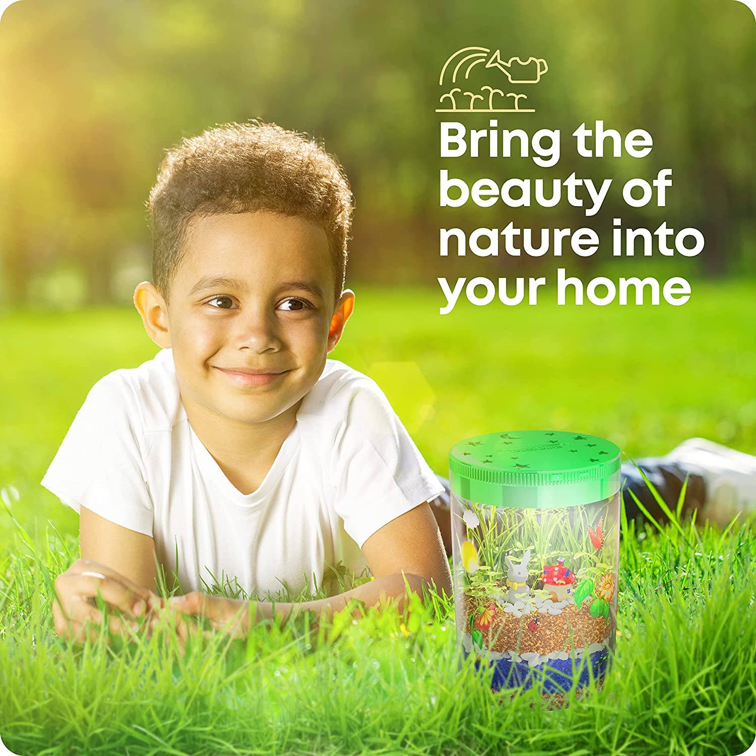 Light-Up Terrarium Kit – Arkansas Museum of Fine Arts Store