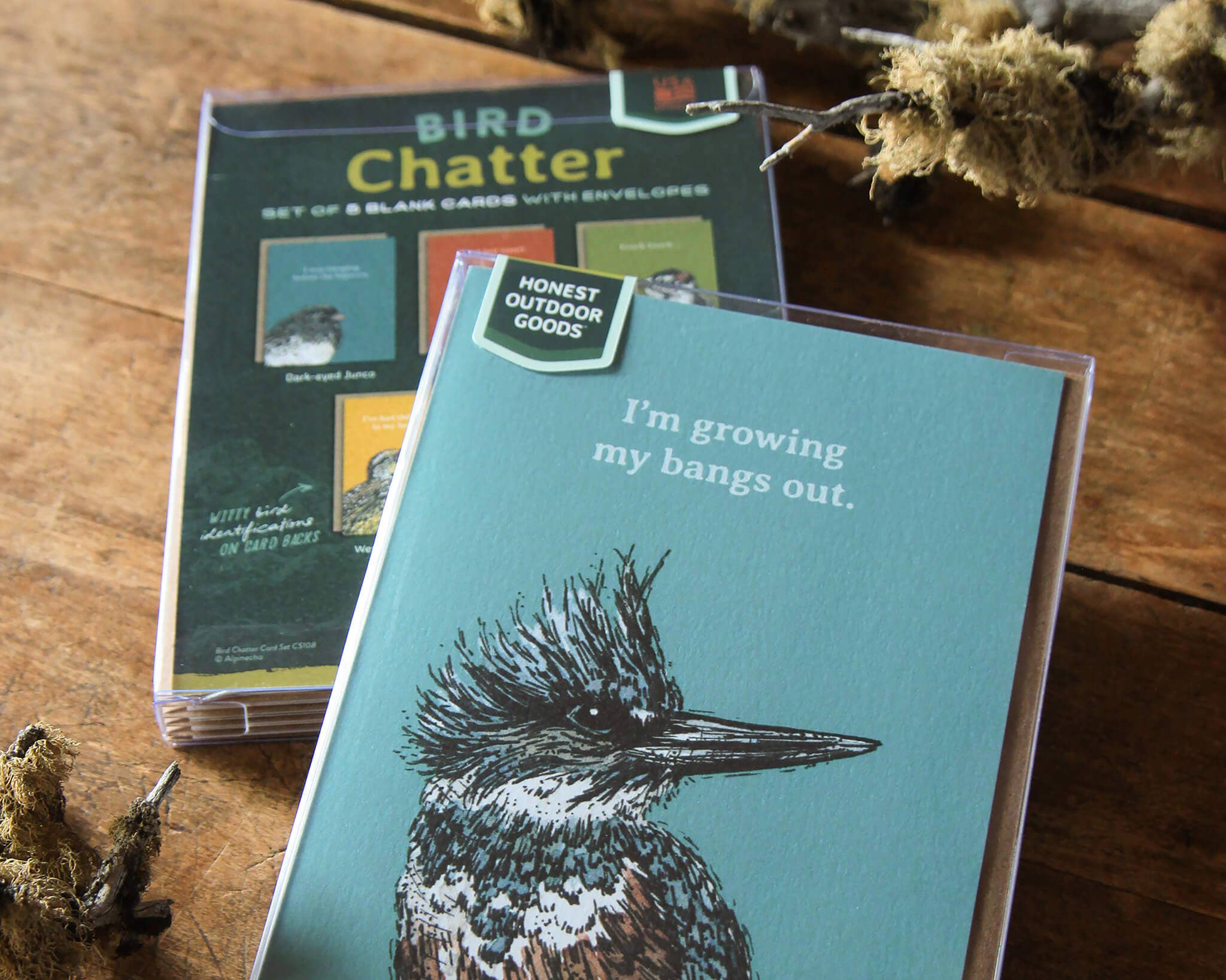 Bird Chatter Greeting Card Box Set – Arkansas Museum of Fine Arts Store